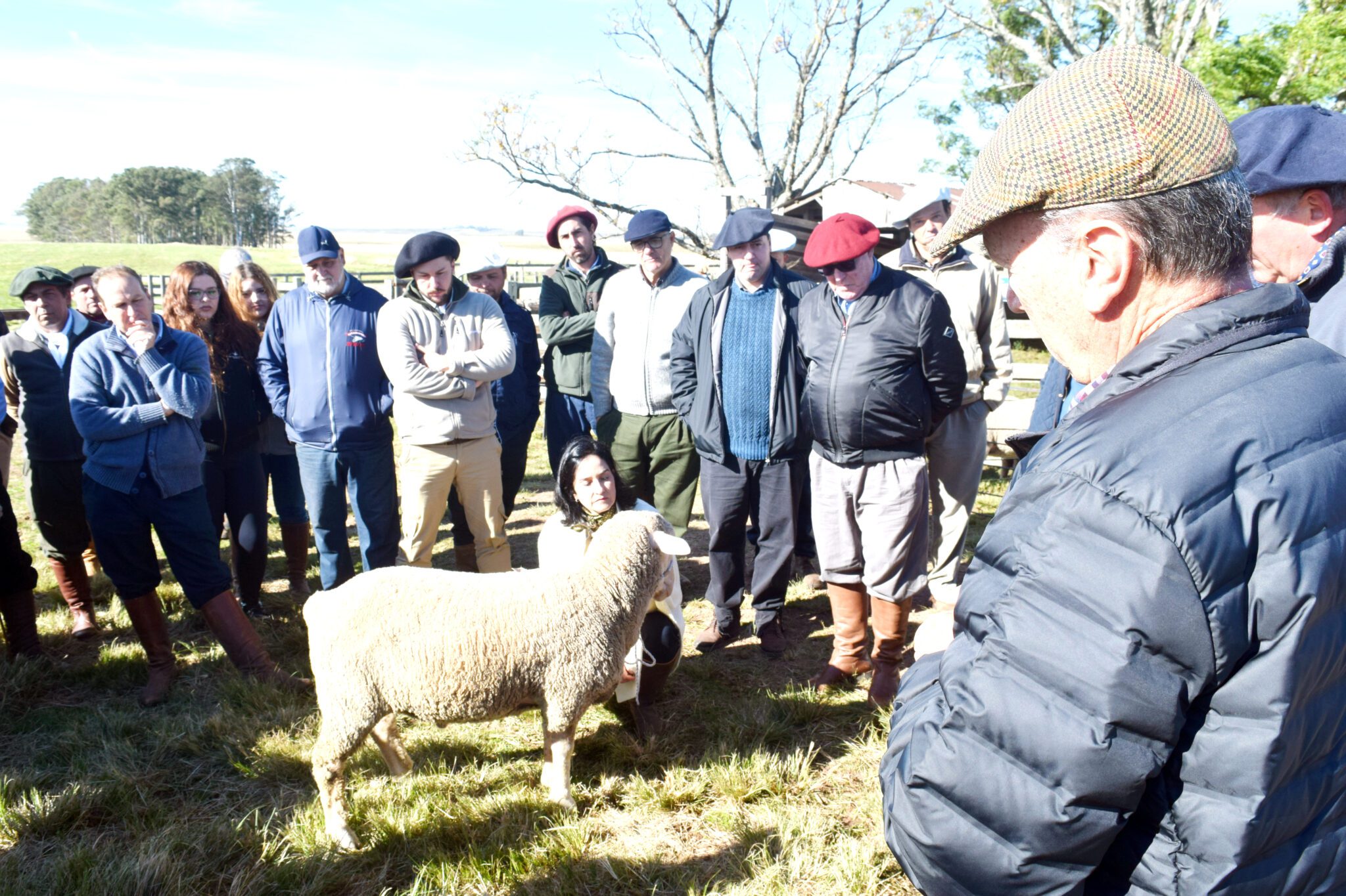 » Brasileiros e Uruguaios unidos pela difusão da Raça Dohne Merino