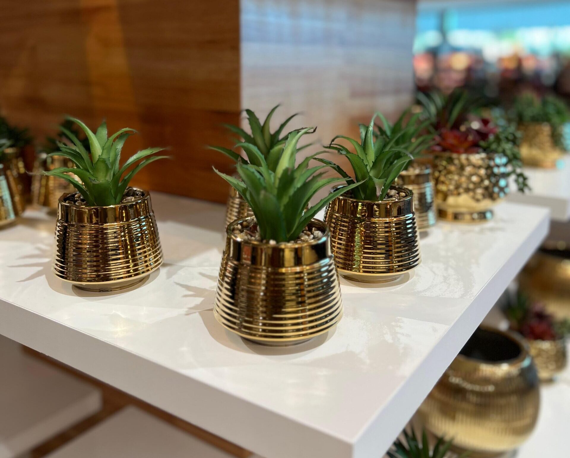 » Siñeriz Free Shop